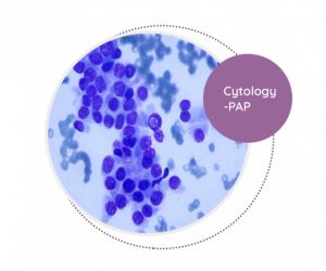 Cytology - MediScan Lab