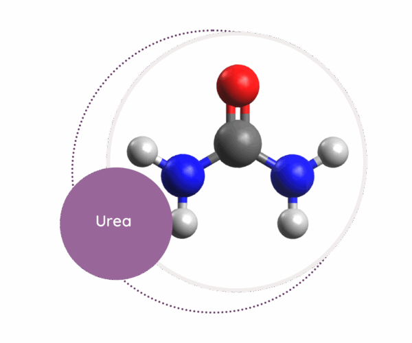 Urea - MediScan Lab